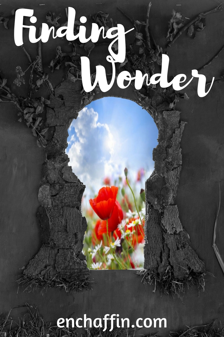 Finding Wonder, Chapter Six – E.N. Chaffin